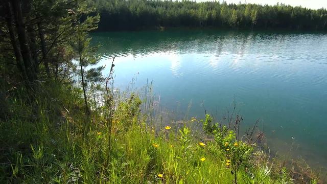 На озере летним солнечным днём. Посмотреть и отвлечься