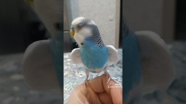 2022-03-02-194501964.mp4