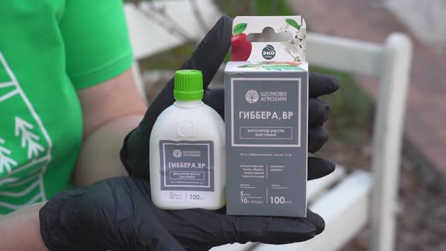 Как ускорить созревание плодов в огороде?