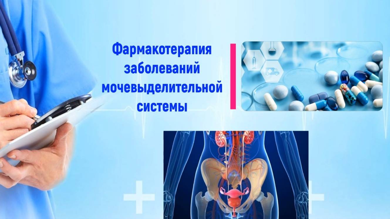 Мочевыделительная система, (МПС, часть 1)