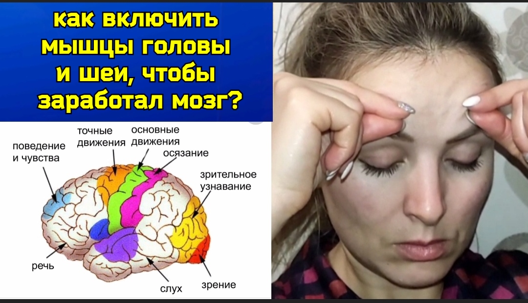 Мозг и шея отказываются работать? Виноваты спазмы лобной и подзатылочных мышц. Упражнения