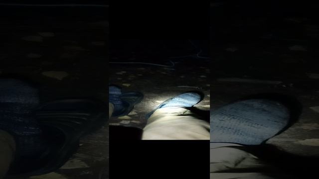 18 толстые носки