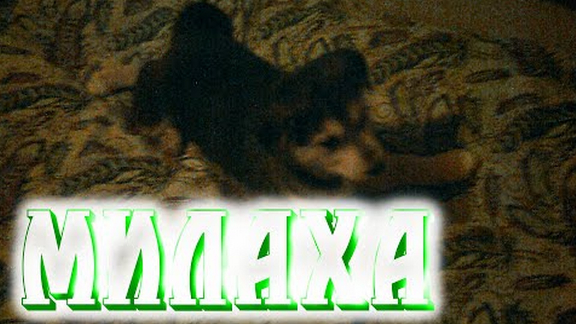 Маленький щеночек. Мой лучший друг. Начало.mp4