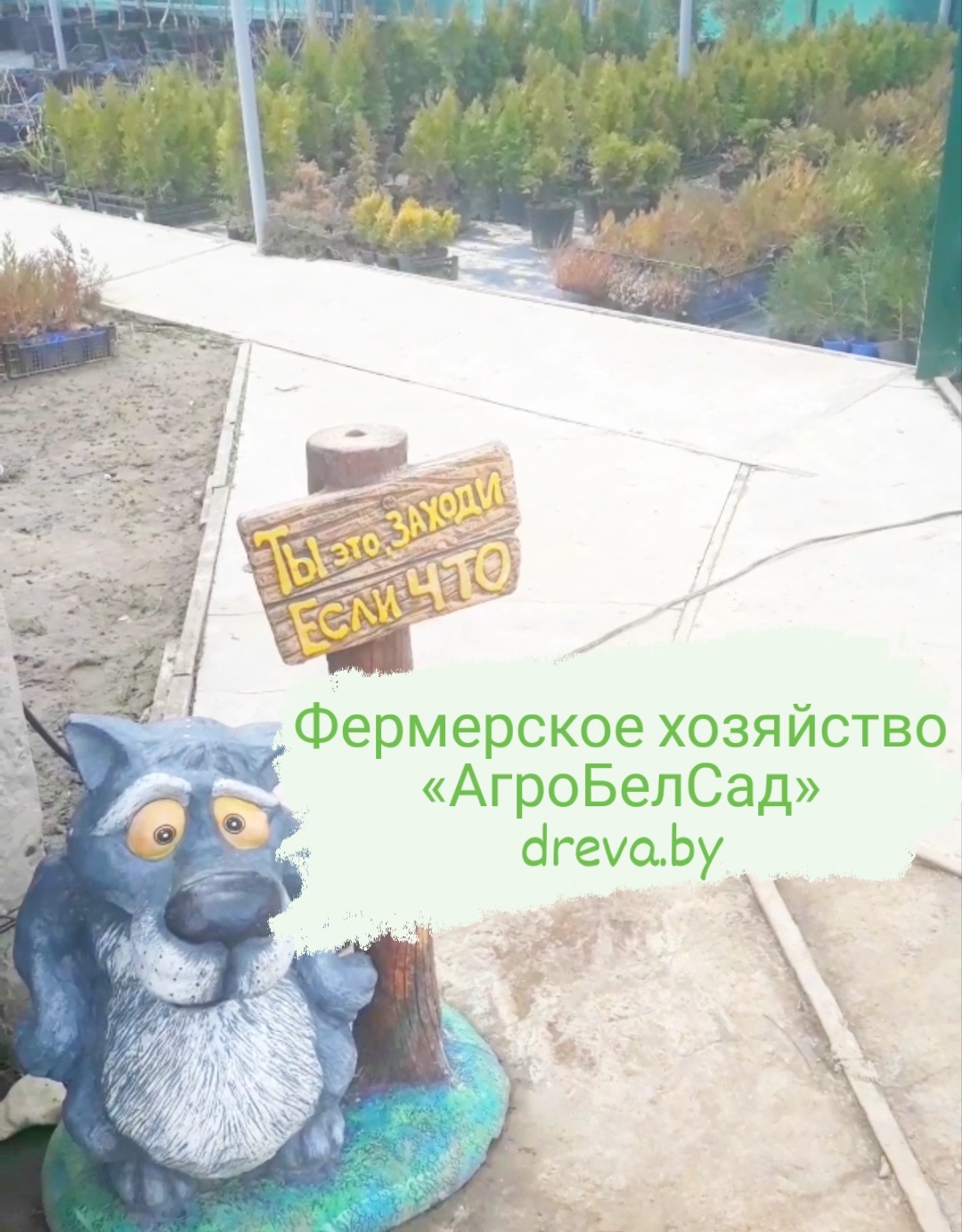 Фермерское хозяйство «АгроБелСад». г.Гомель