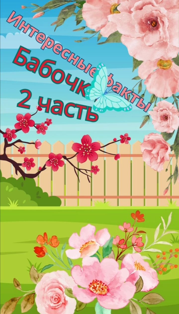 Интересные факты | Бабочки 2 часть 
#Shorts