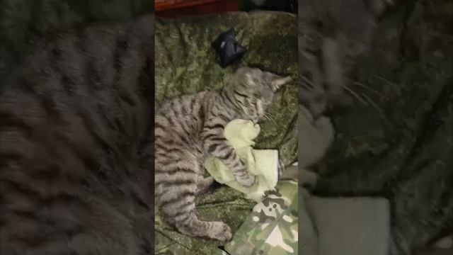 Поиграем) Доброго утра!