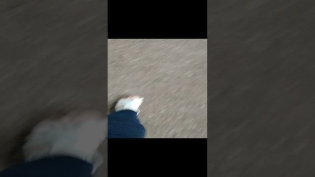 Летняя прогулка от первого лица