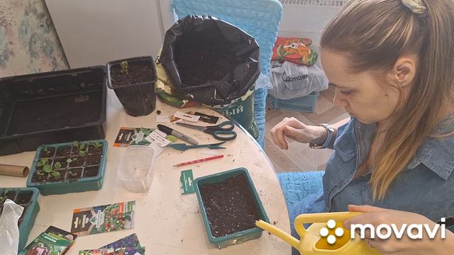 посадила перец, лук порей и землянику