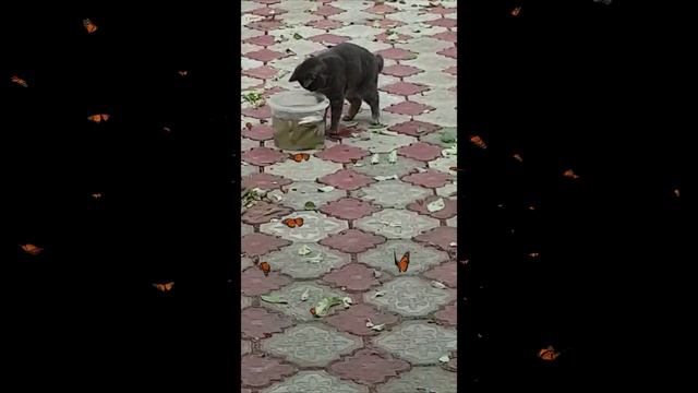 Эхх. Удочку дома забыл.