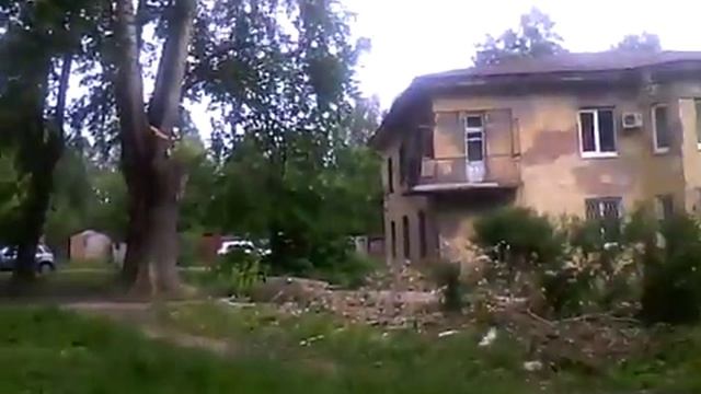 Валка тополей в микрорайоне Песьянка.