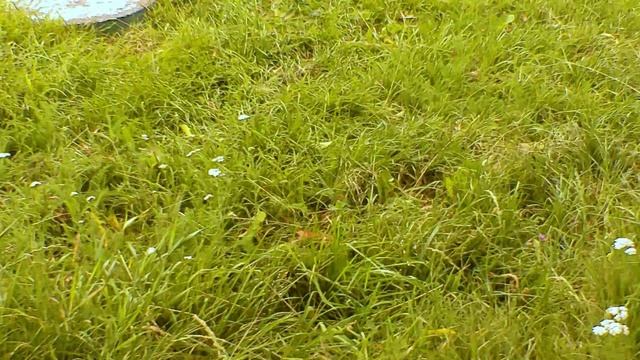 Начало жаркого дня.