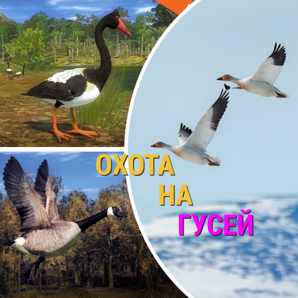 The Hunter classic(охота на гусей)