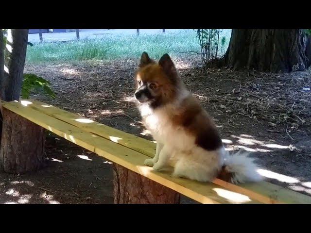 Приходи ко мне, дружок. Посидим, поОкаем. Лео & Джоли