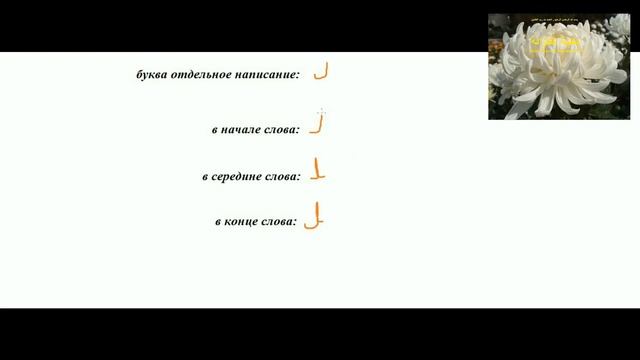 23 буква   Лам   арабского алфавита.