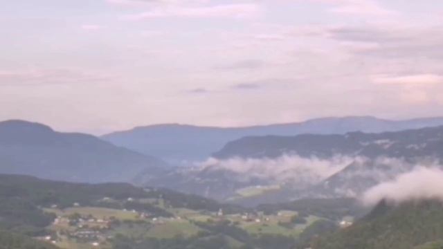 О сострадании к другому человеку...