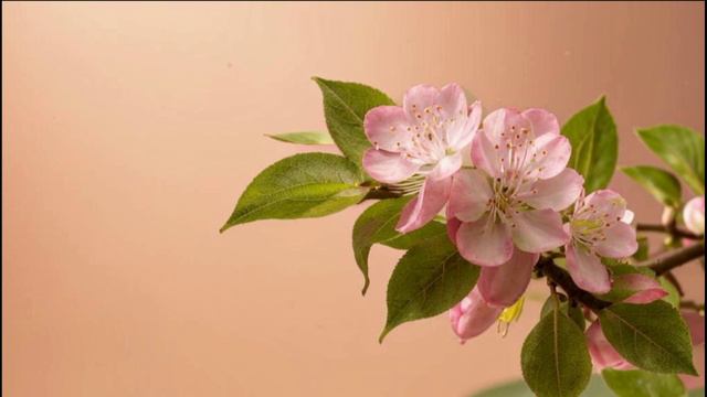 "Книга Пророка Исаии" / 62 ГЛАВА