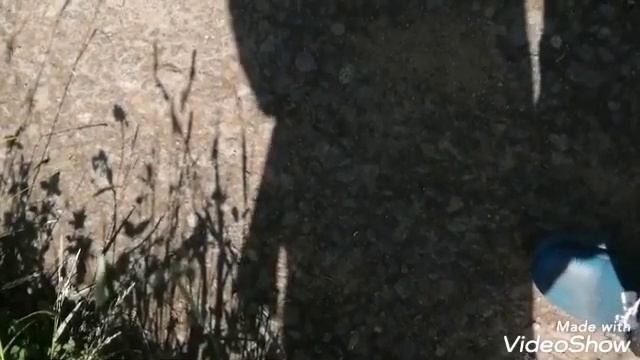 Повесть бездомной женщины. Лето 2019 года. Часть вторая.