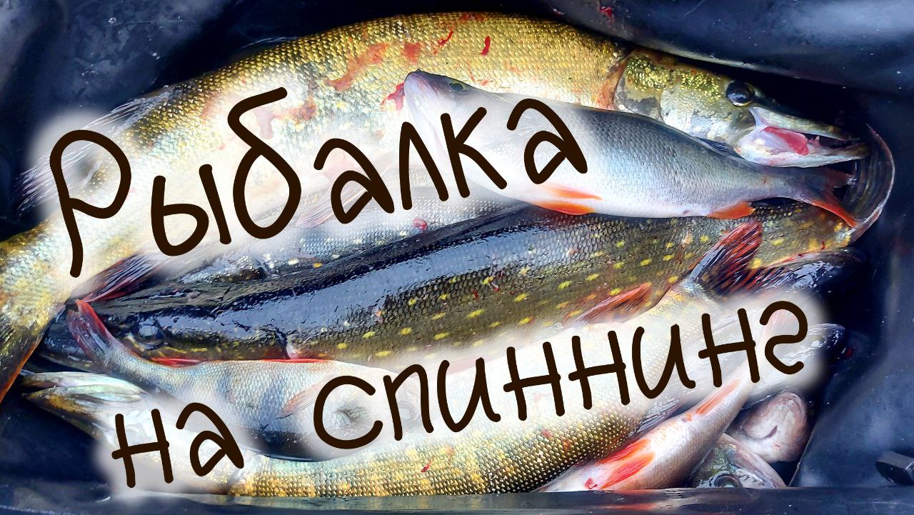 осенняя рыбалка Окунь Щука на спиннинг