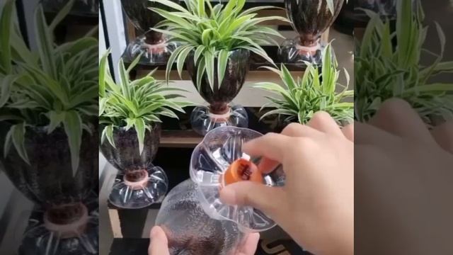 ? Горшки для цветов своими руками