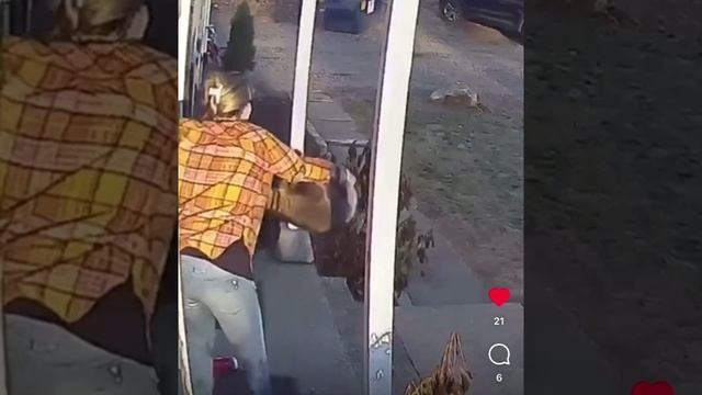 Нападение бешеного енота на людей