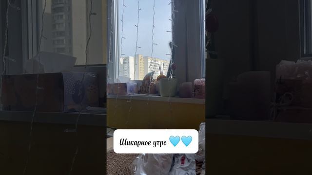 Влог #4) 
😍🐾