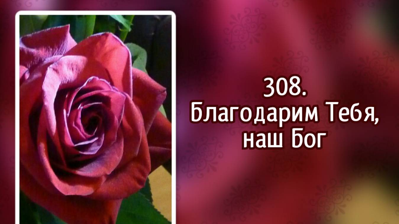 Гимны надежды 308 Благодарим Тебя, наш Бог (-)