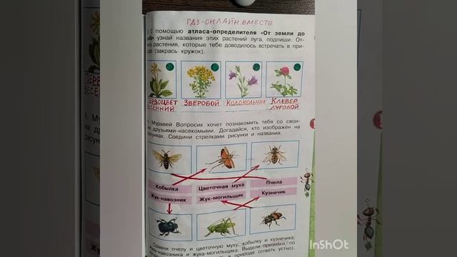 4 класс. ГДЗ. Окружающий мир. Рабочая тетрадь. Плешаков. Часть 1. Страницы 78-81. С комментированием