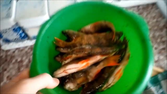 Самодельная коптильня из ведра,коптим рыбку..mp4