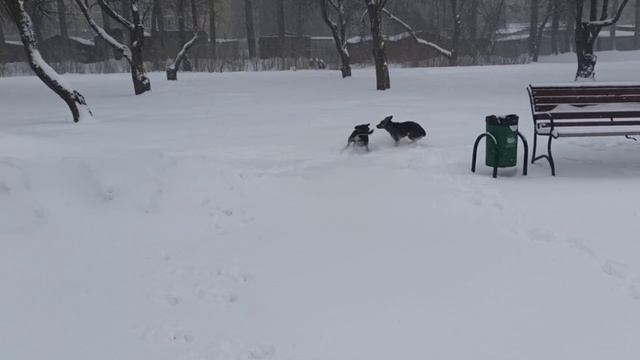 ❗ХОРОШО ВДВОЁМ❗