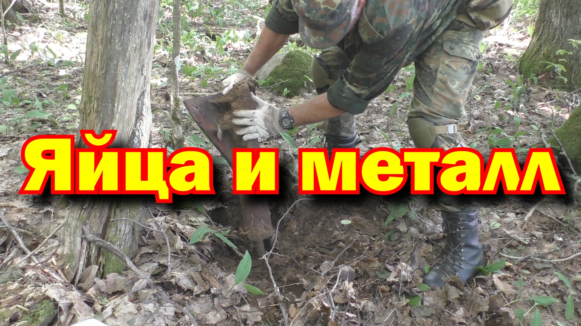 Яйца и неплохой шматок металла!