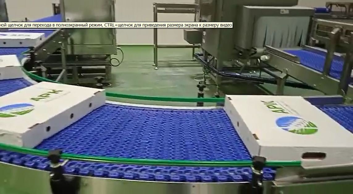 Подающая ветка конвейерной обвязки боксфризера