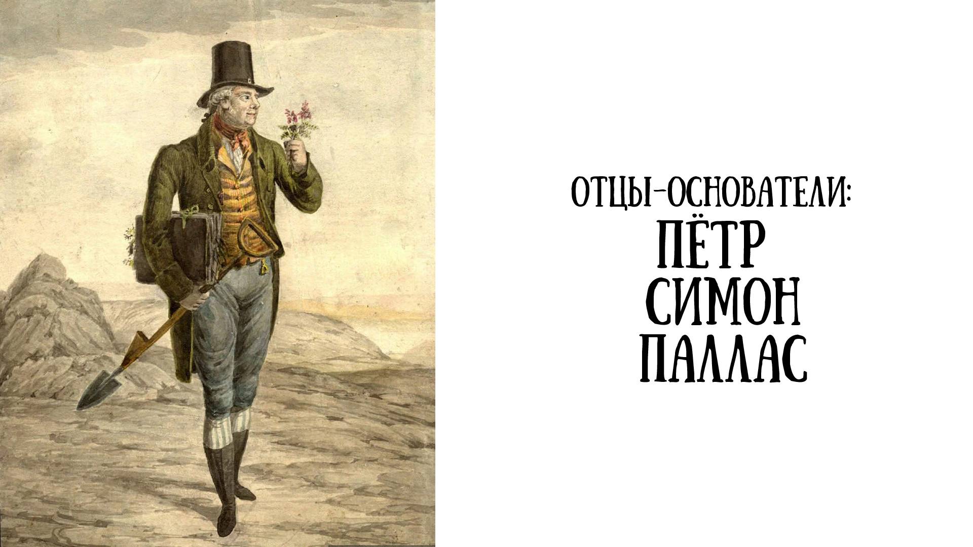 Отцы-основатели: Пётр Симон Паллас