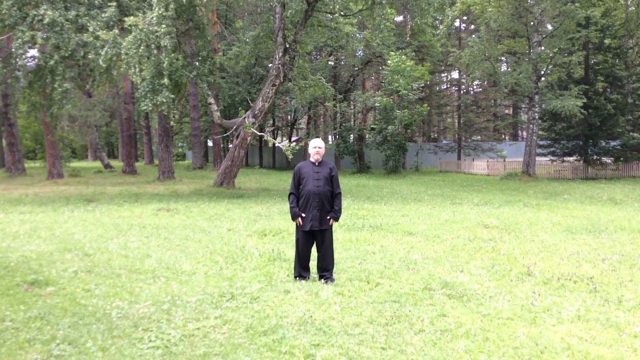 Прикрыться кистью. Чэньши Тайцзицюань. Позиция 13.1/83.