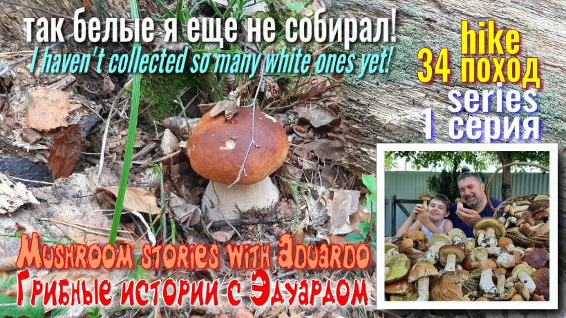 Так Белые я ещё не Собирал! Поход в лес 34 – 1 серия. Грибные Истории с Эдуардом.