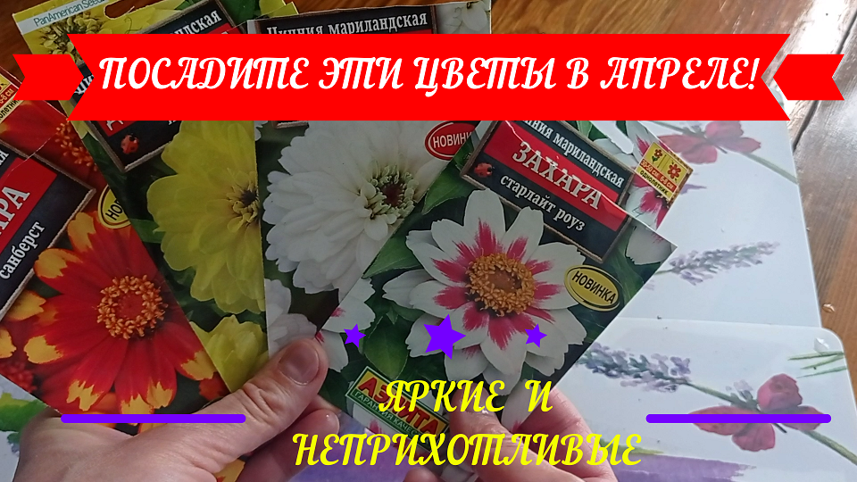 ПОСАДИТЕ ЭТИ ЦВЕТЫ В АПРЕЛЕ!ЯРКИЕ И НЕПРИХОТЛИВЫЕ!#циния#даблзахара#циния_на_рассаду#семенацинии#ког