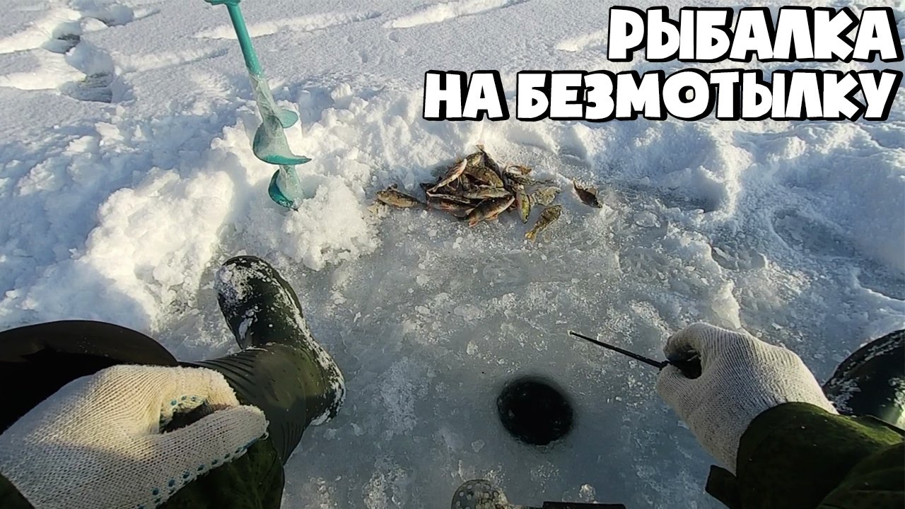 ПОМЕНЯЛ БЕЗМОТЫЛКУ И ПОПЁРЛО! РЫБАЛКА В ГЛУХОЗИМЬЕ НА ЛЕСНОМ ОЗЕРЕ