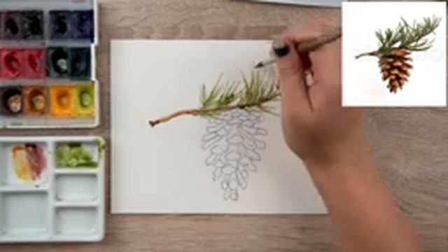 Ботаника - урок 1