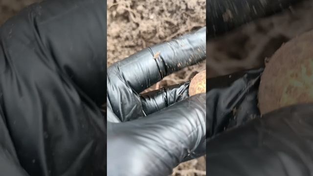 Огогошечки! Что за жёлтенькая монетка ??, золотая? ?