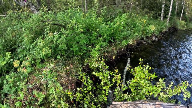Миссия не выполнима. Пробиваемся на аэролодке Хариус к горе Отортен. Вы такого не видели. Часть 1.