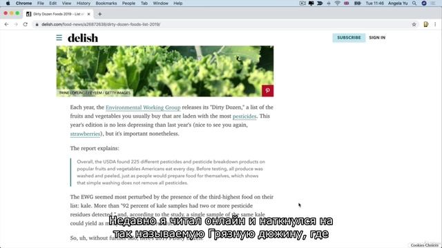 [100 Days of Python] (День 004) 043 Ошибки индексации и работа с вложенными списками