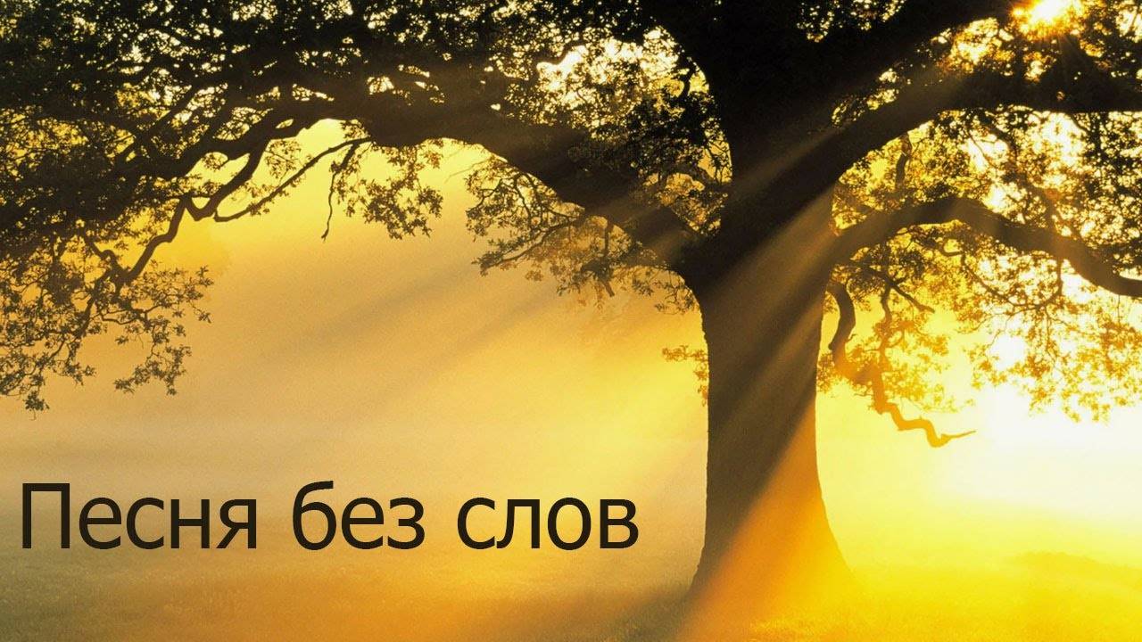 Песня без слов | Музыкальные паузы