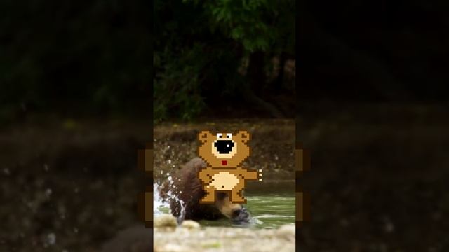 Мишкин стендап.Часть 7