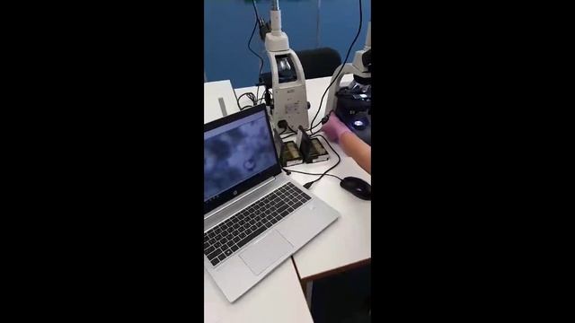 Мастер-класс.(Биоквантум).