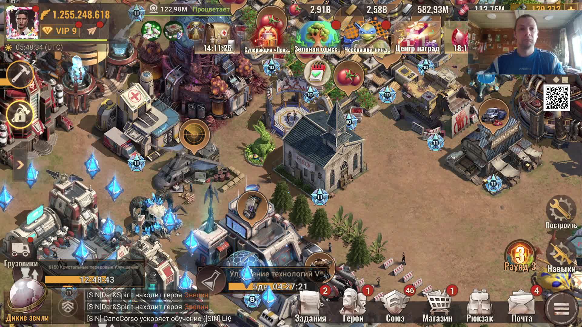 дейлик стейта