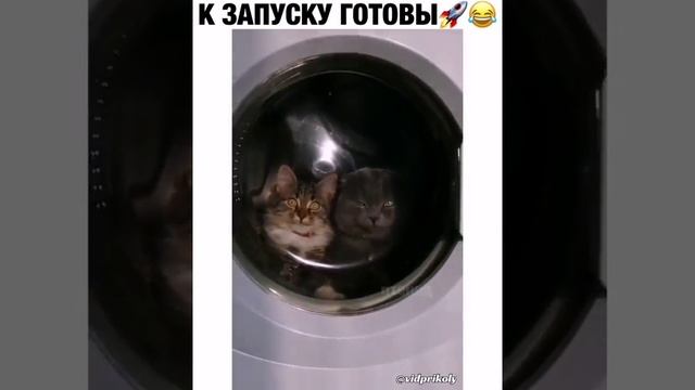 К запуску готовы ???