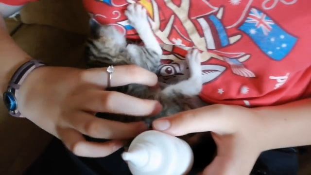 Так все-таки мальчик или девочка