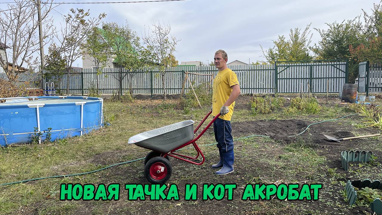 Новая тачка и кот акробат