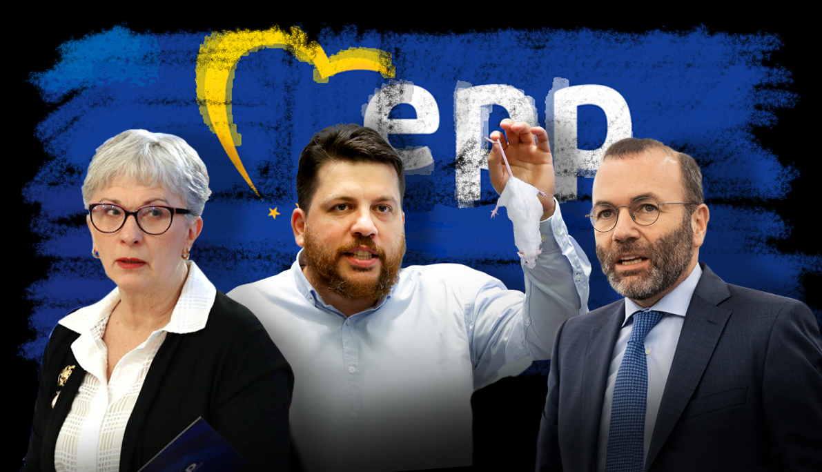 Пранк с лидерами Европейской народной партии в Европарламенте