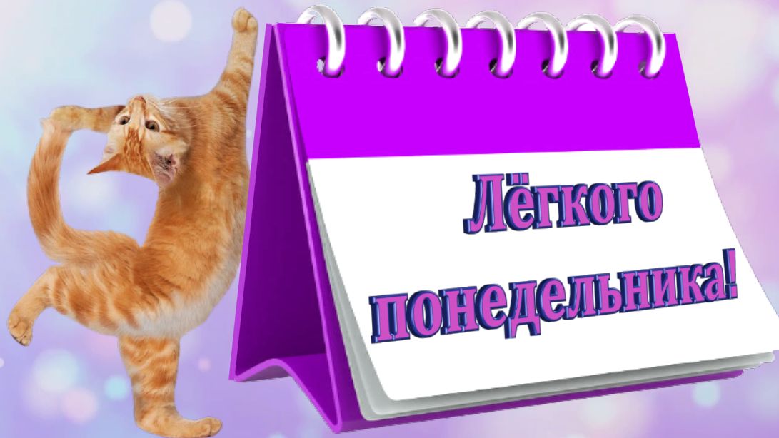 Лёгкого понедельника!