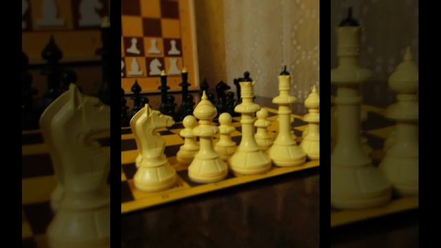 Шахматы - это ...